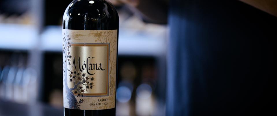 The Film Somm: Cup Of Salvation Tells The Story Of First Iranian Wine ...