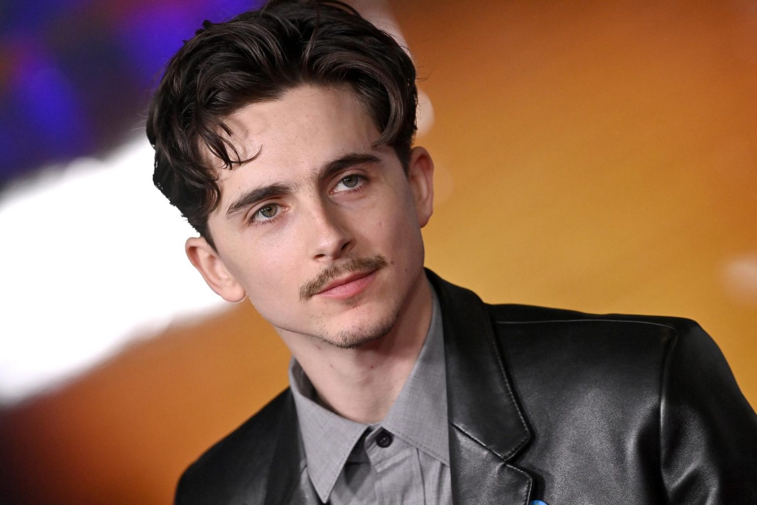 Timothée Chalamet’s Viral Zoom Call For ‘Marty Supreme,’ Explained ...